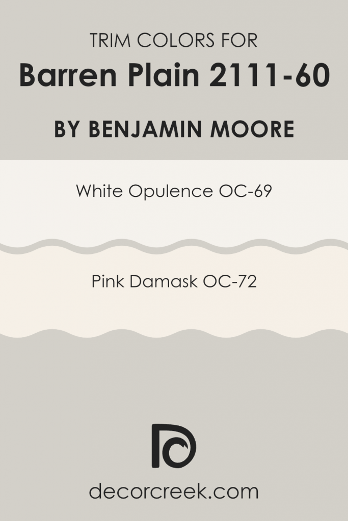 Barren Plain 2111-60 Paint Color by Benjamin Moore - DecorCreek