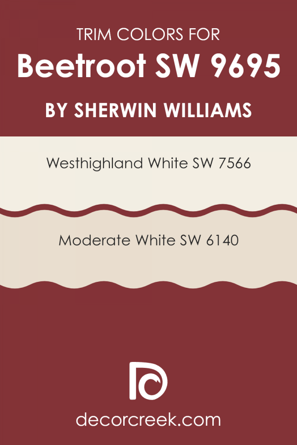 Beetroot SW 9695 Paint Color by Sherwin Williams - DecorCreek