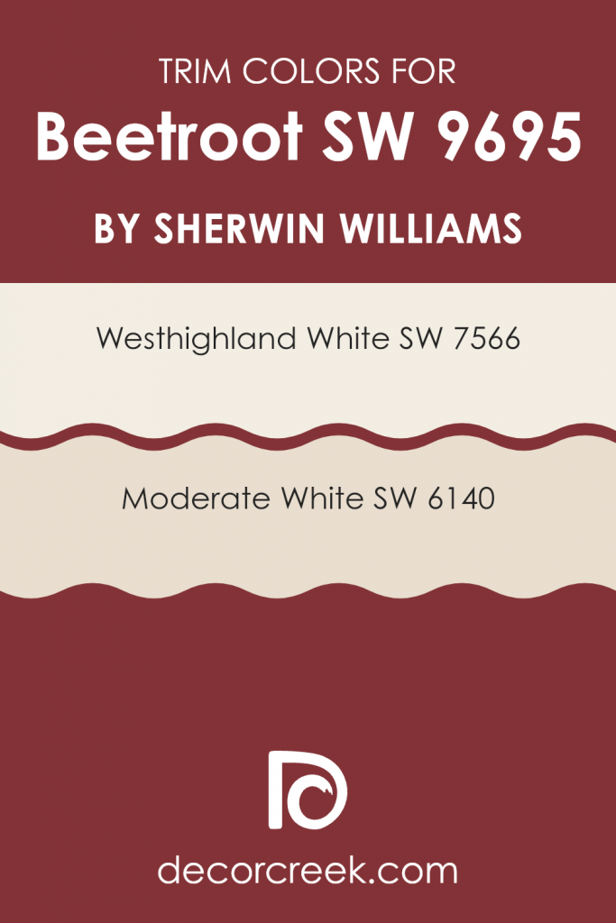 Beetroot SW 9695 Paint Color by Sherwin Williams - DecorCreek