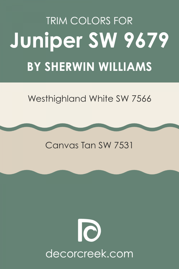 Juniper SW 9679 Paint Color by Sherwin Williams - DecorCreek