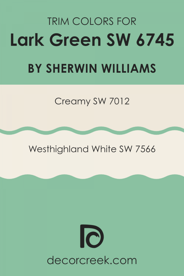 Lark Green SW 6745 Paint Color by Sherwin Williams - DecorCreek