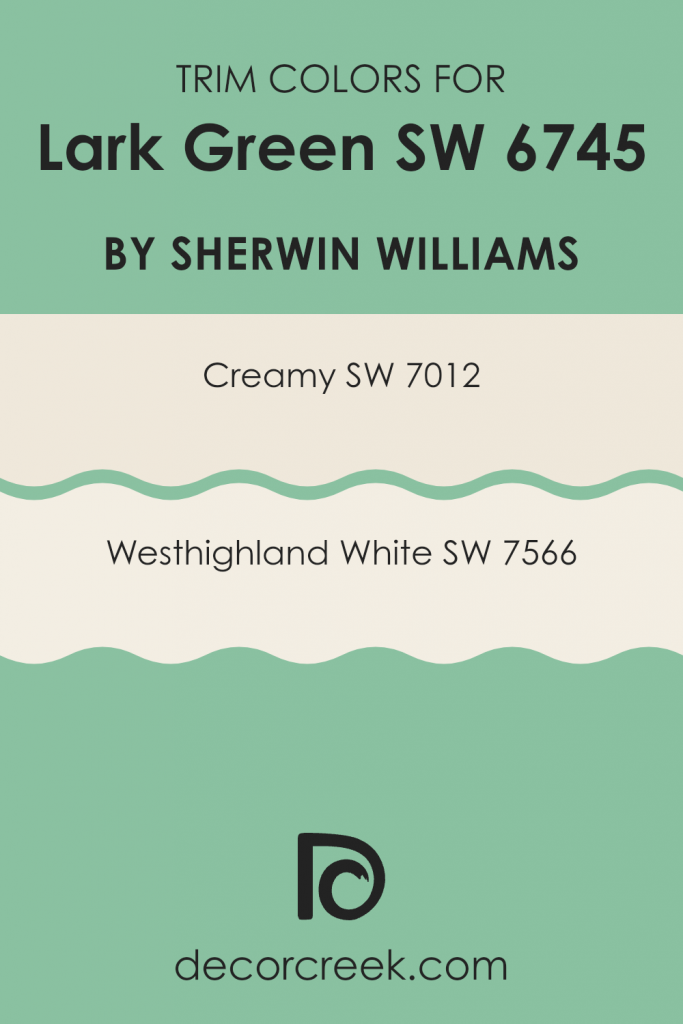 Lark Green SW 6745 Paint Color by Sherwin Williams - DecorCreek