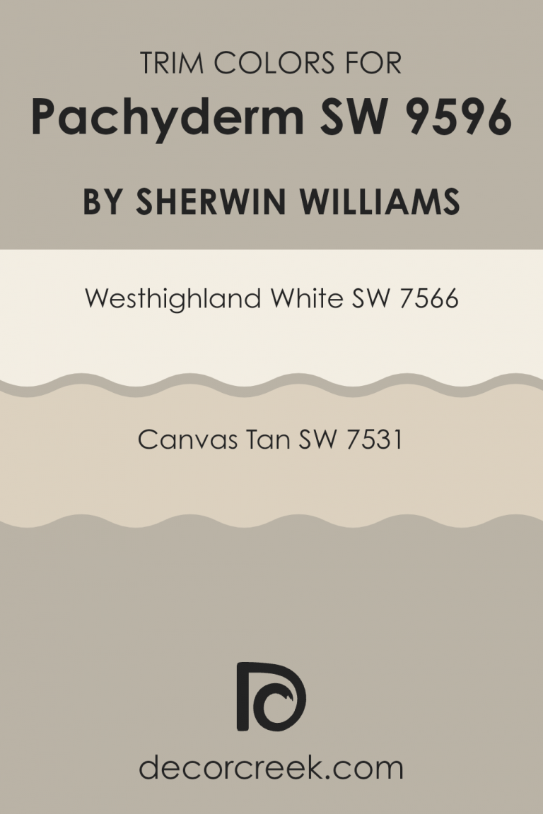 Pachyderm SW 9596 Paint Color by Sherwin Williams - DecorCreek