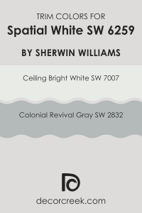 Spatial White SW 6259 Paint Color by Sherwin Williams - DecorCreek