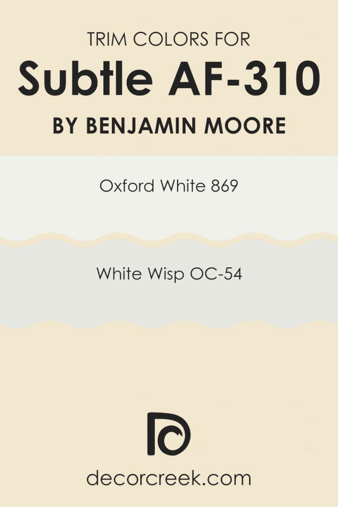 Subtle AF-310 Paint Color by Benjamin Moore - DecorCreek