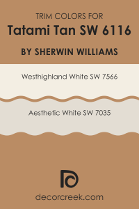 Tatami Tan SW 6116 Paint Color by Sherwin Williams - DecorCreek