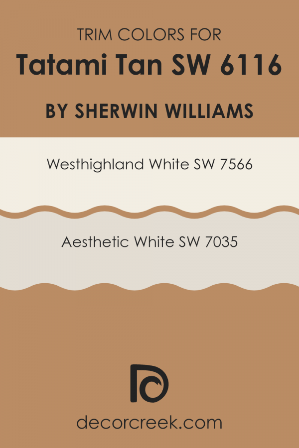 Tatami Tan SW 6116 Paint Color by Sherwin Williams - DecorCreek
