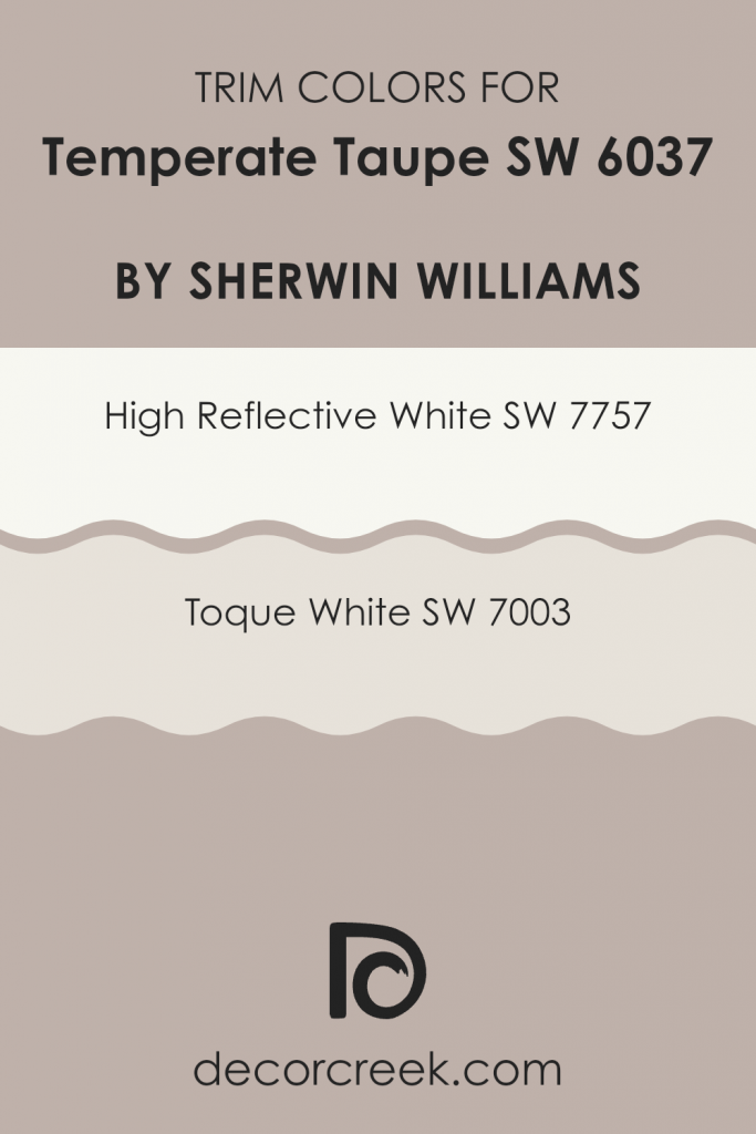 Temperate Taupe SW 6037 Paint Color by Sherwin Williams - DecorCreek