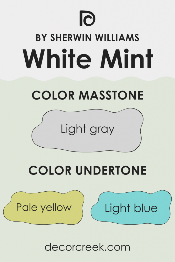 White Mint SW 6441 Paint Color by Sherwin Williams - DecorCreek