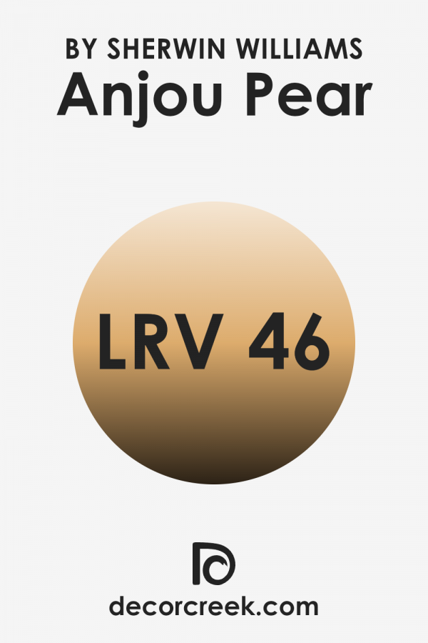 Anjou Pear SW 6381 Paint Color by Sherwin Williams - DecorCreek