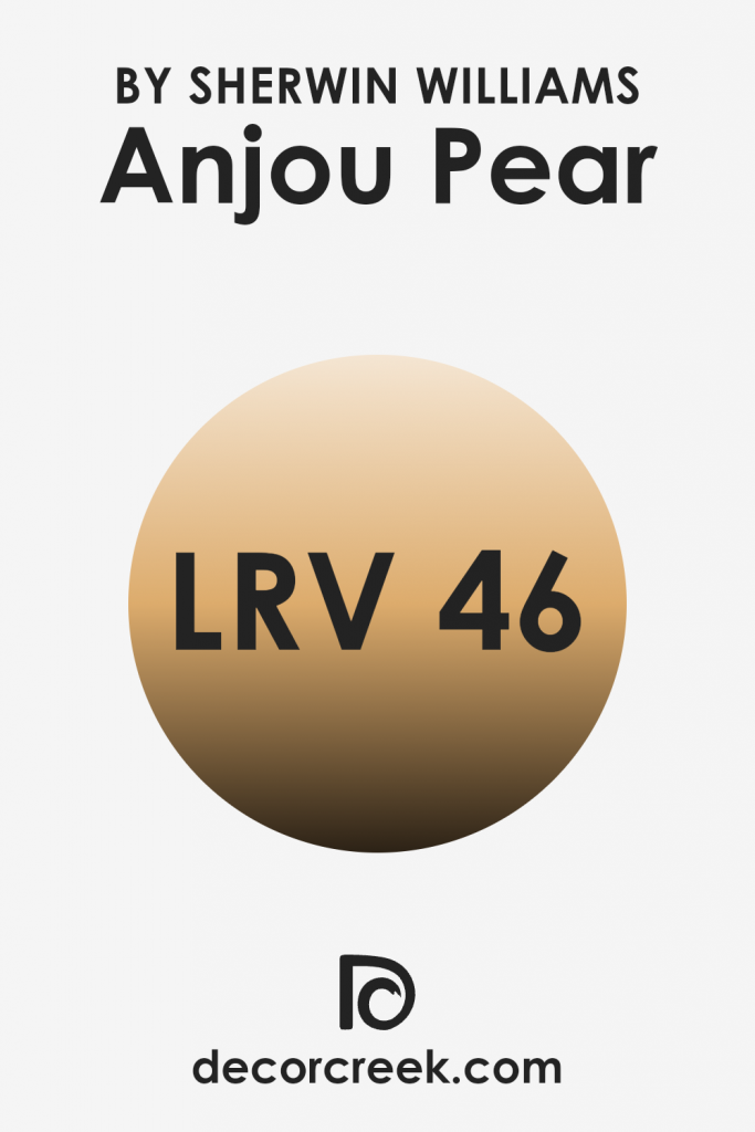 Anjou Pear SW 6381 Paint Color by Sherwin Williams - DecorCreek