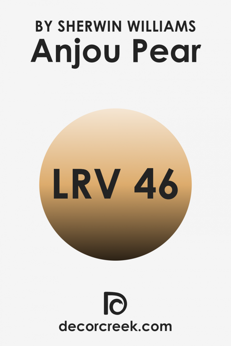 Anjou Pear SW 6381 Paint Color by Sherwin Williams - DecorCreek