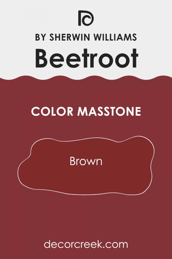 Beetroot SW 9695 Paint Color by Sherwin Williams - DecorCreek