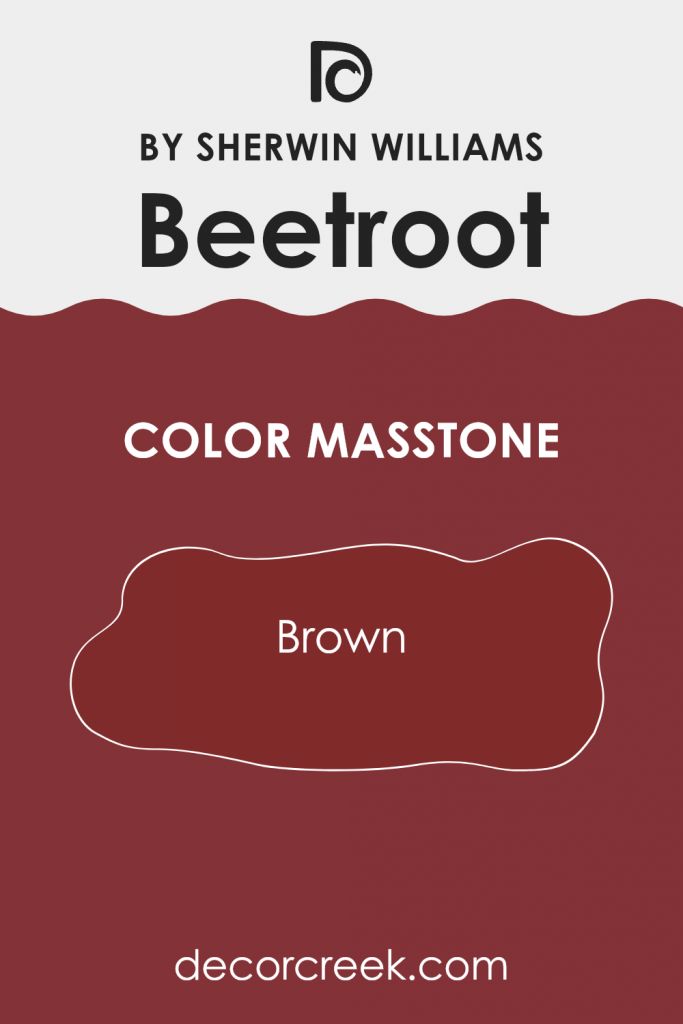 Beetroot SW 9695 Paint Color by Sherwin Williams - DecorCreek