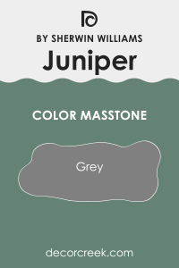 Juniper SW 9679 Paint Color by Sherwin Williams - DecorCreek