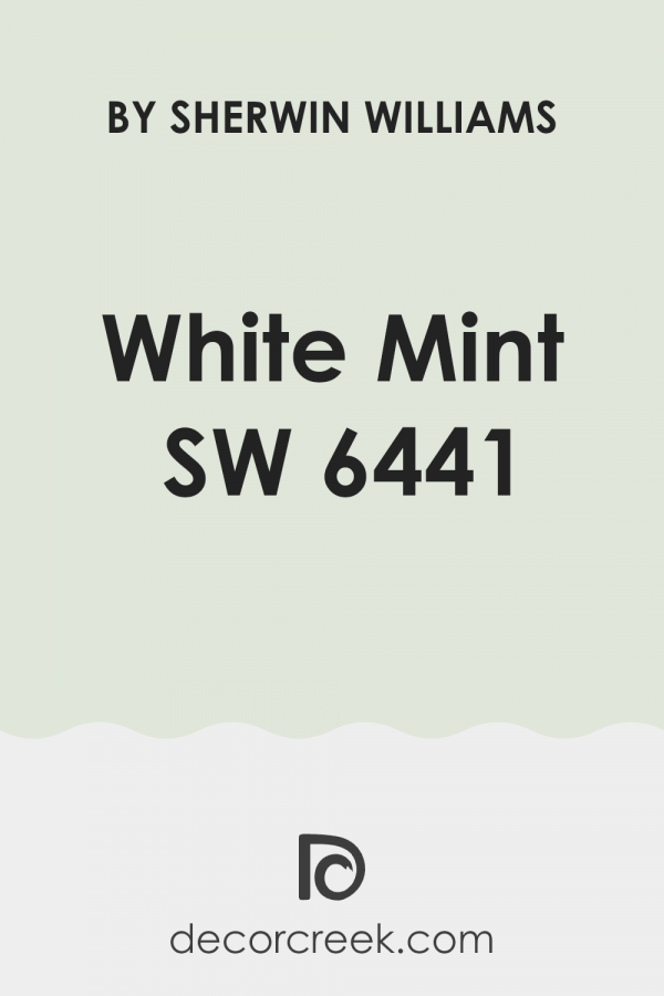 White Mint SW 6441 Paint Color by Sherwin Williams - DecorCreek
