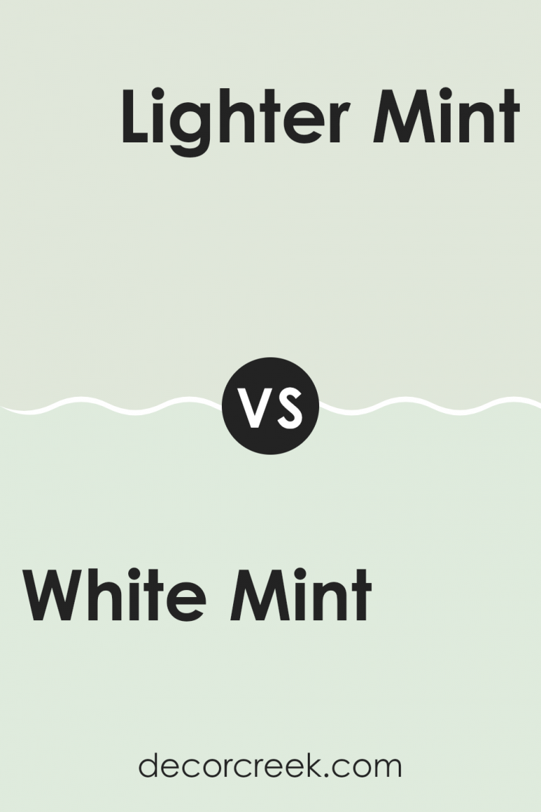 White Mint SW 6441 Paint Color by Sherwin Williams - DecorCreek