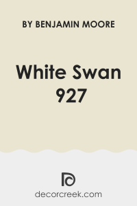 White Swan 927 Paint Color by Benjamin Moore - DecorCreek