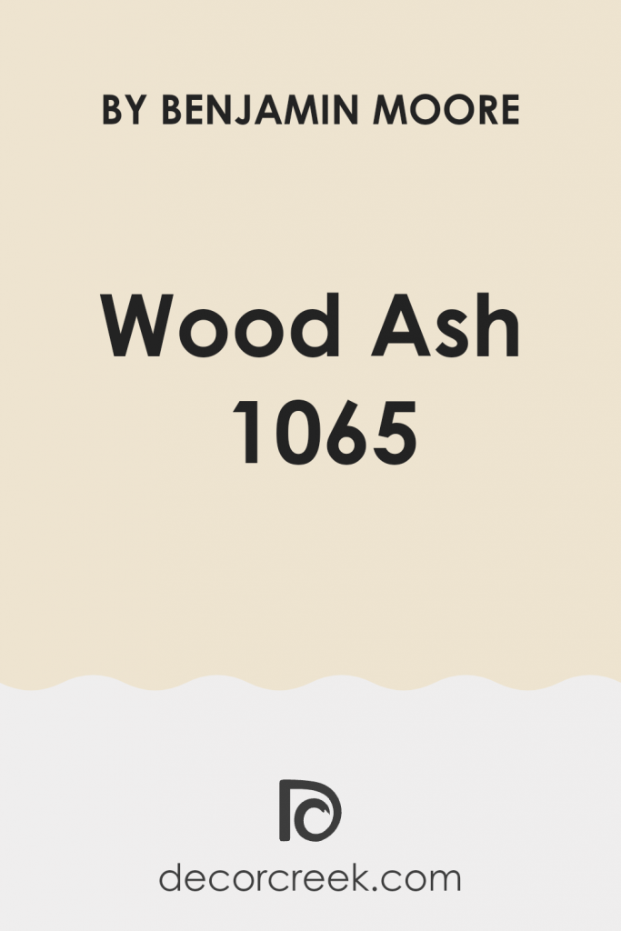 Wood Ash 1065 Paint Color by Benjamin Moore - DecorCreek