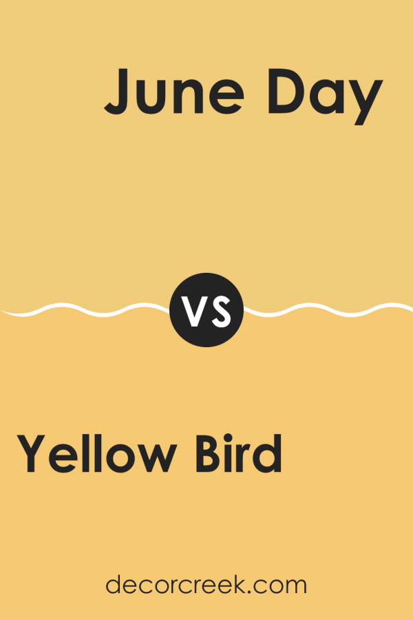 Yellow Bird SW 9022 Paint Color by Sherwin Williams - DecorCreek