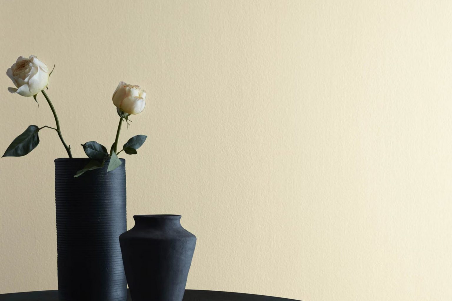 Sandy White 2148-50 Paint Color by Benjamin Moore - DecorCreek