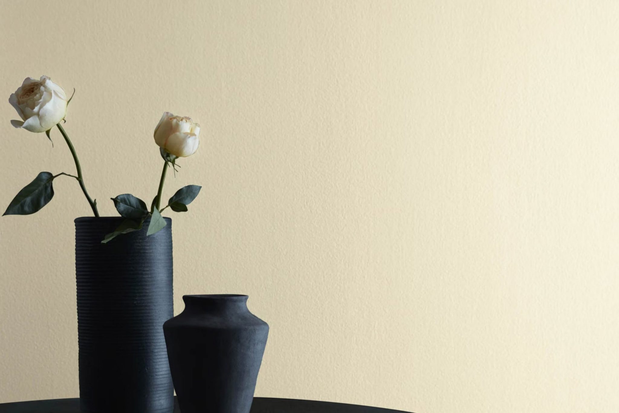 Sandy White 2148-50 Paint Color by Benjamin Moore - DecorCreek