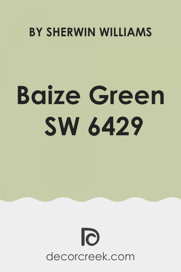 Baize Green SW 6429 Paint Color by Sherwin Williams - DecorCreek
