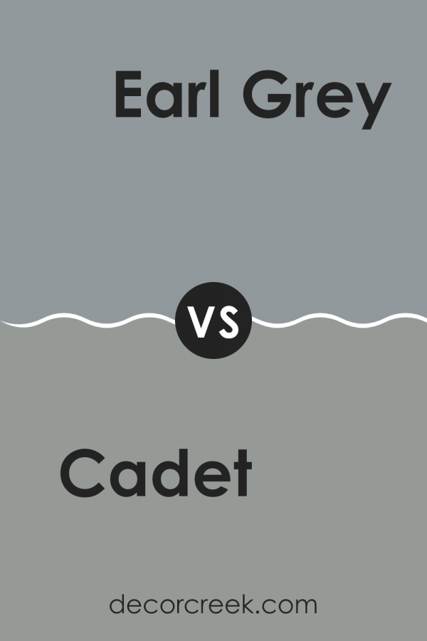 Cadet SW 9143 Paint Color by Sherwin Williams - DecorCreek