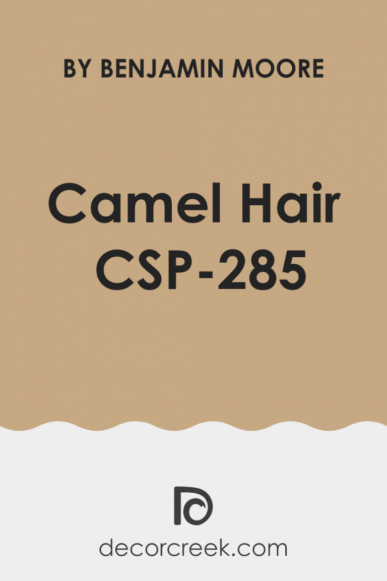 Camel Hair CSP-285 Paint Color by Benjamin Moore - DecorCreek