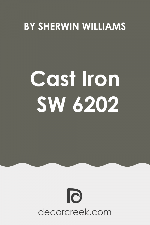 Cast Iron SW 6202 Paint Color by Sherwin Williams - DecorCreek