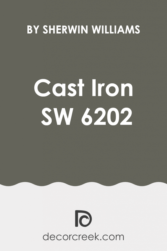 Cast Iron SW 6202 Paint Color by Sherwin Williams - DecorCreek