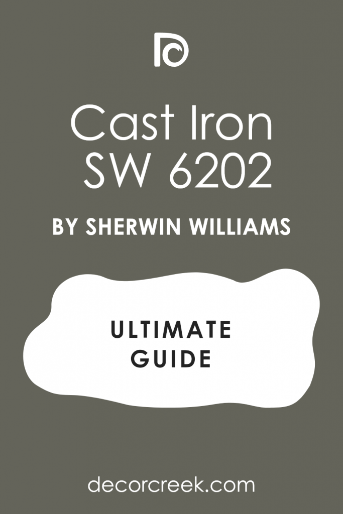 Cast Iron SW 6202 Paint Color by Sherwin Williams - DecorCreek