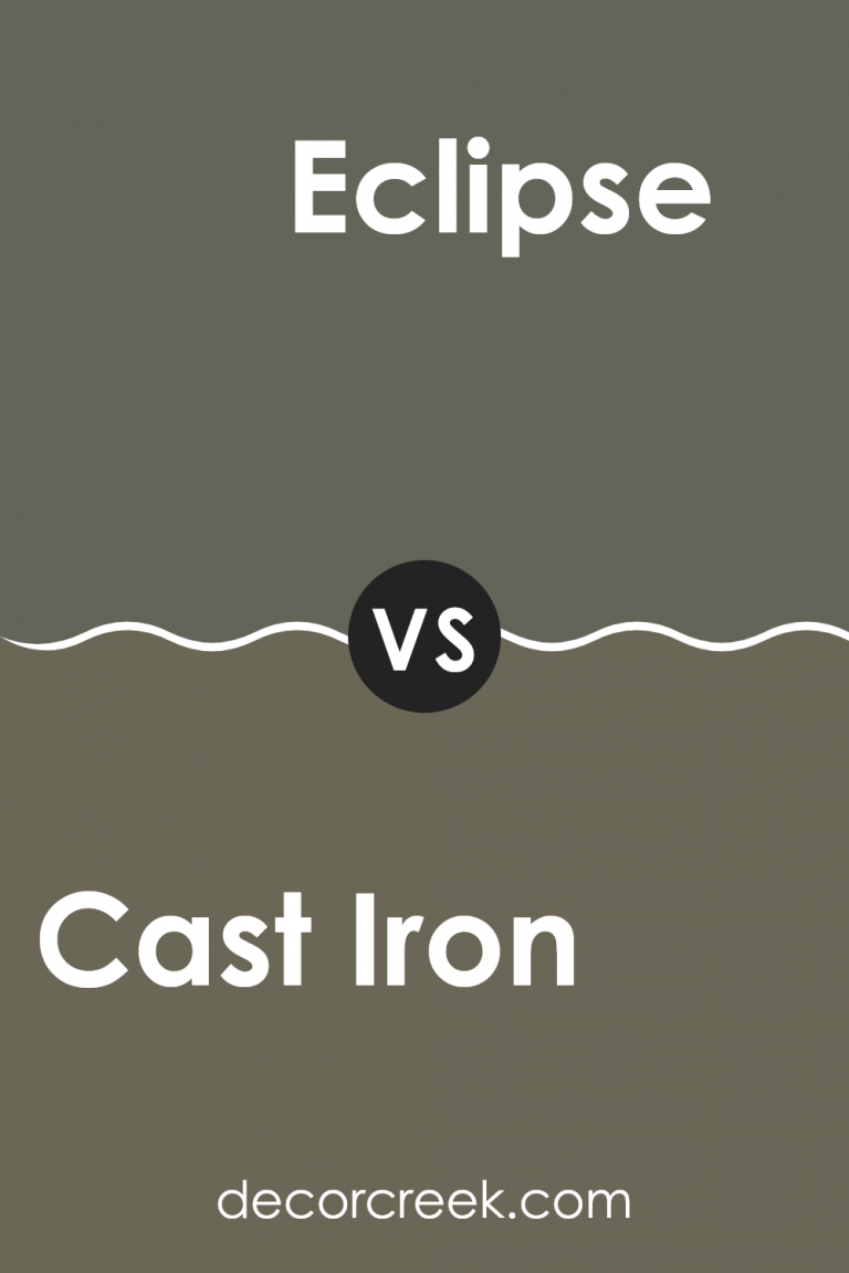 Cast Iron SW 6202 Paint Color by Sherwin Williams - DecorCreek