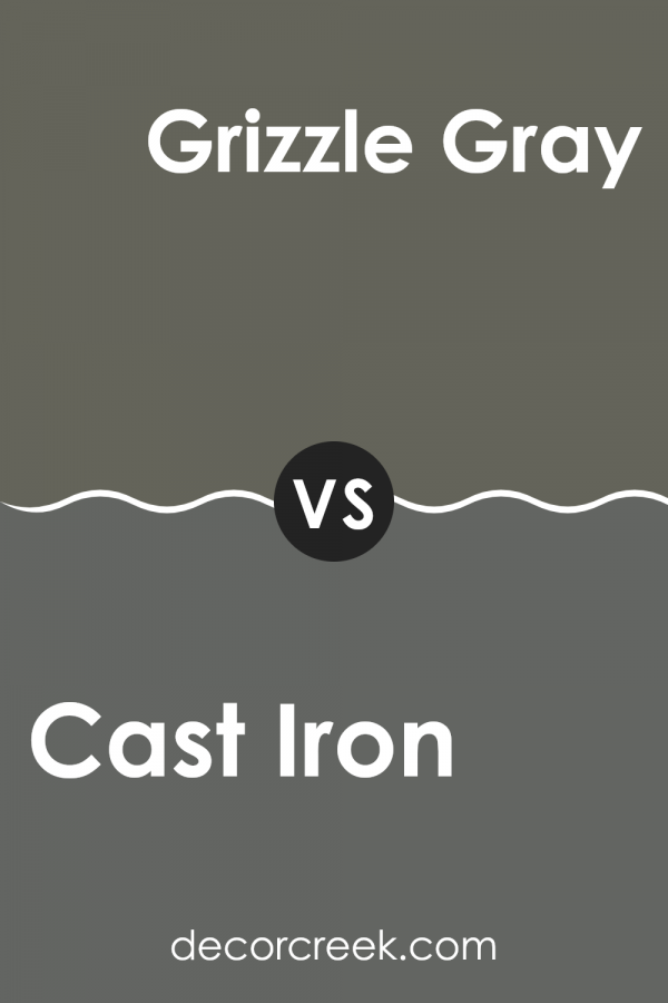 Cast Iron SW 6202 Paint Color by Sherwin Williams - DecorCreek