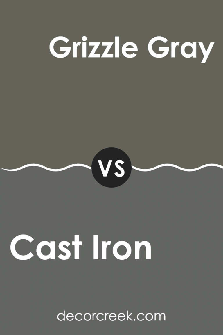 Cast Iron SW 6202 Paint Color by Sherwin Williams - DecorCreek