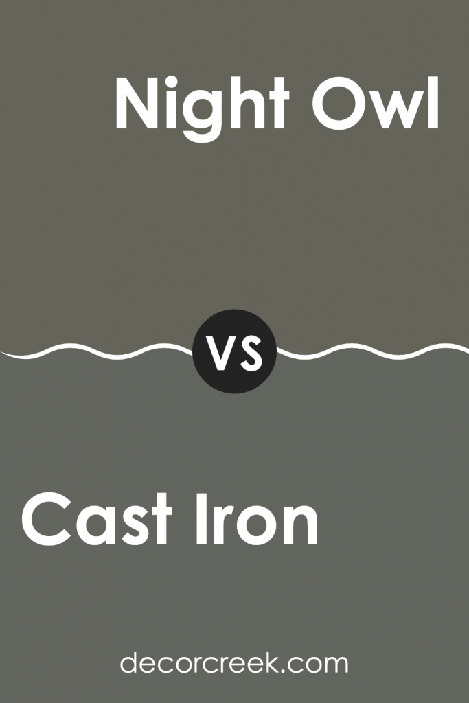 Cast Iron SW 6202 Paint Color by Sherwin Williams - DecorCreek