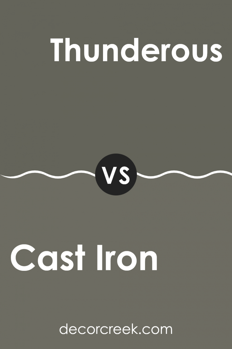 Cast Iron SW 6202 Paint Color by Sherwin Williams - DecorCreek