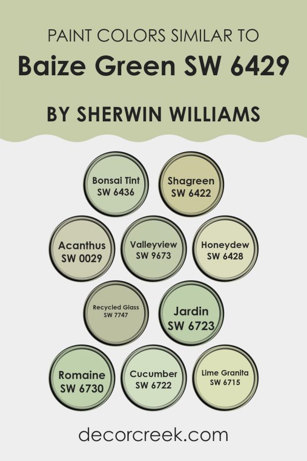 Baize Green SW 6429 Paint Color by Sherwin Williams - DecorCreek