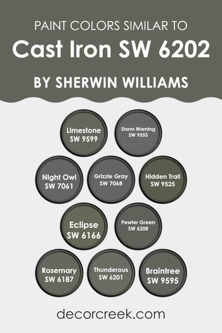 Cast Iron SW 6202 Paint Color by Sherwin Williams - DecorCreek