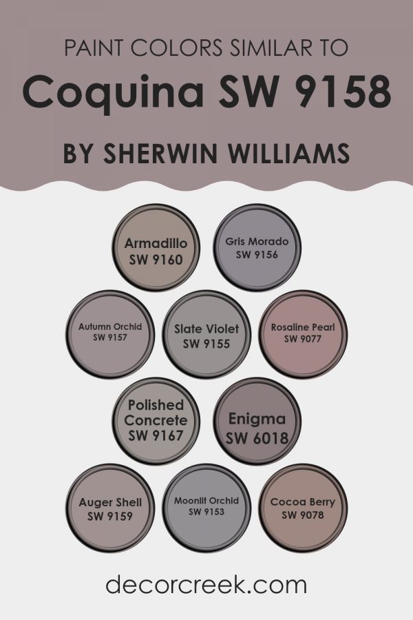 Coquina SW 9158 Paint Color by Sherwin Williams - DecorCreek