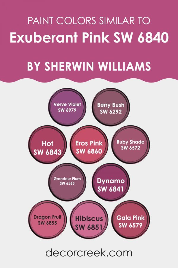 Exuberant Pink SW 6840 Paint Color by Sherwin Williams - DecorCreek