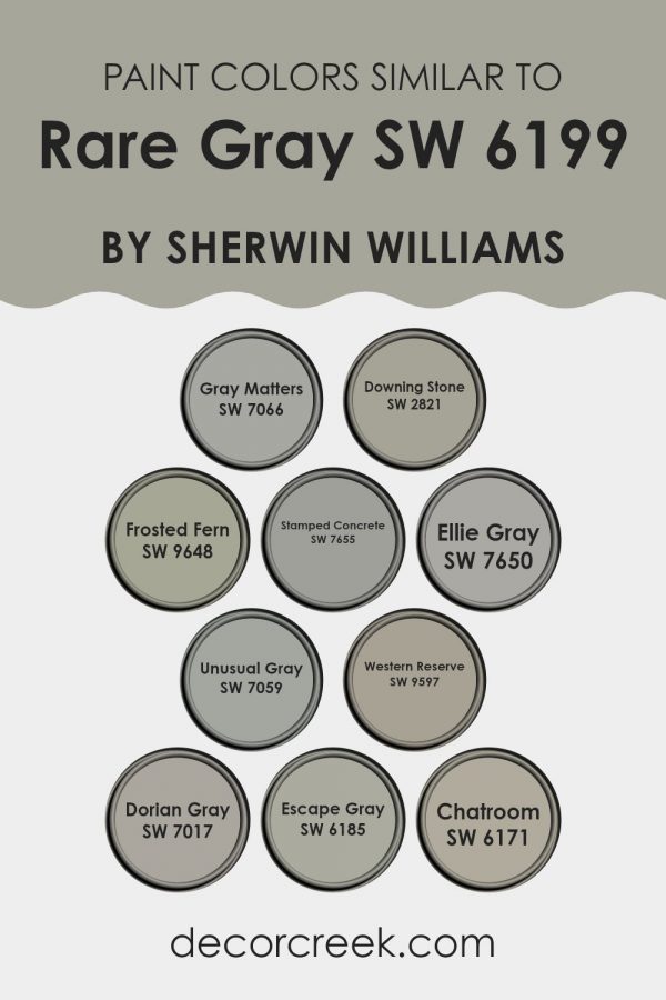 Rare Gray SW 6199 Paint Color by Sherwin Williams - DecorCreek