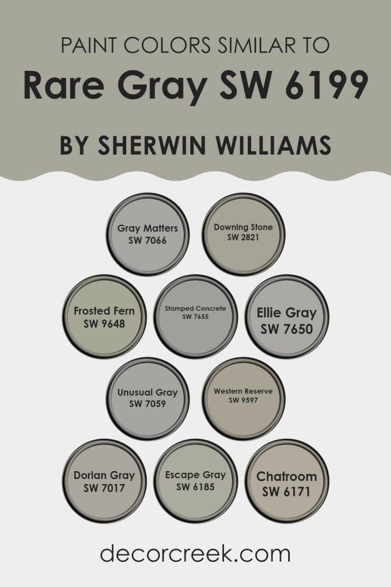 Rare Gray SW 6199 Paint Color by Sherwin Williams - DecorCreek