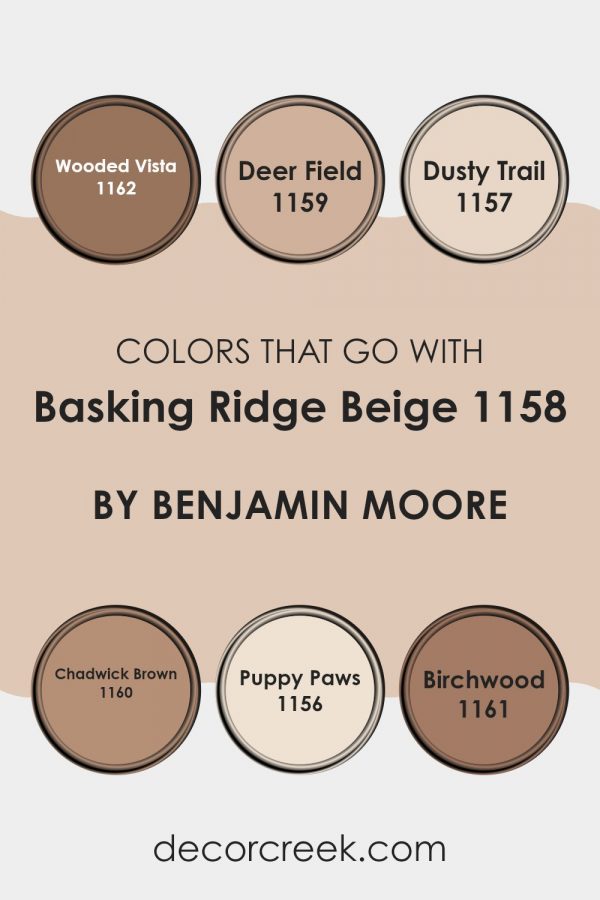 Basking Ridge Beige 1158 Paint Color by Benjamin Moore - DecorCreek