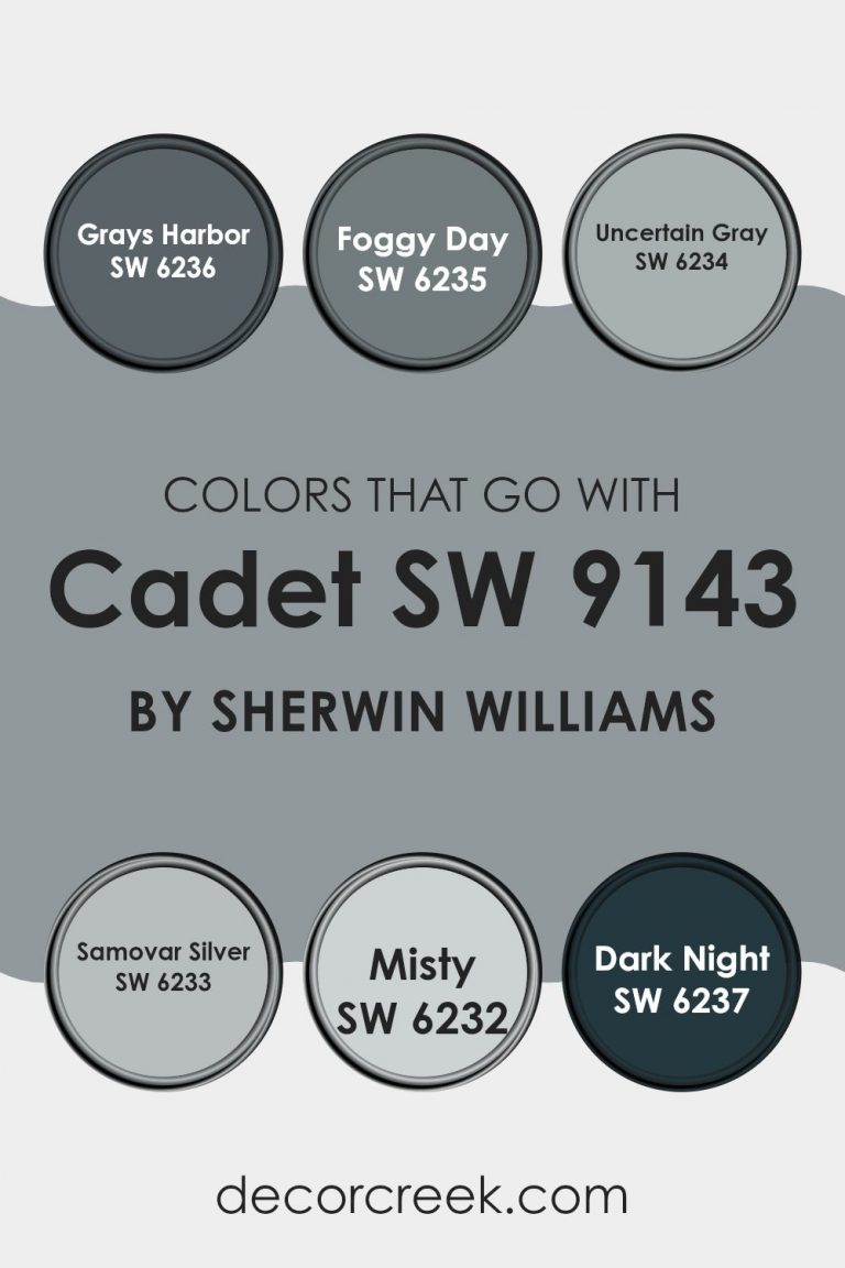 Cadet SW 9143 Paint Color by Sherwin Williams - DecorCreek