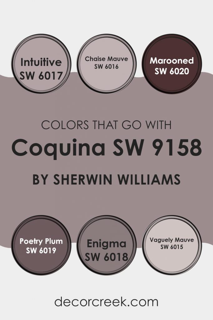 Coquina SW 9158 Paint Color by Sherwin Williams - DecorCreek