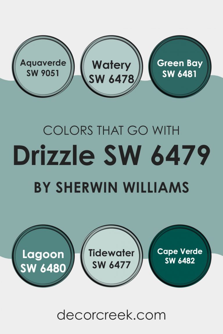 Drizzle SW 6479 Paint Color by Sherwin Williams - DecorCreek