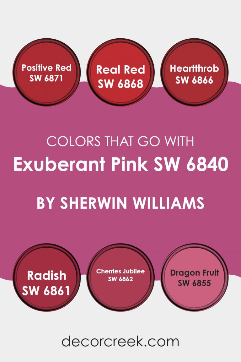 Exuberant Pink SW 6840 Paint Color by Sherwin Williams - DecorCreek