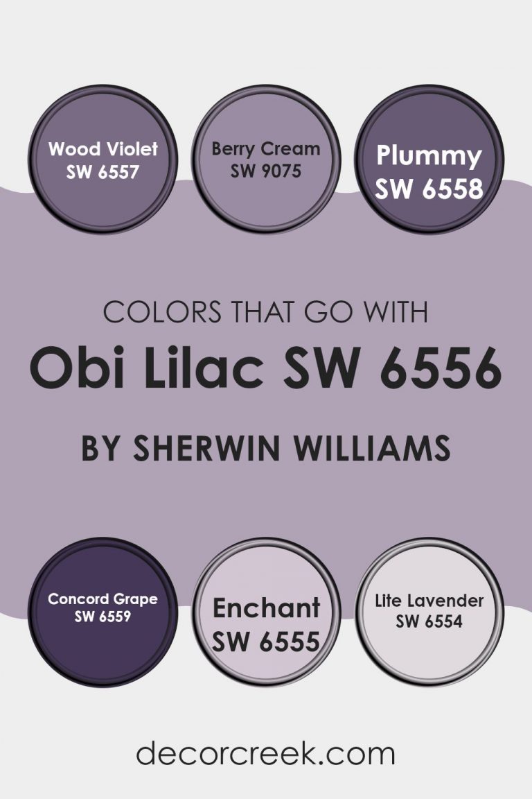 Obi Lilac SW 6556 Paint Color by Sherwin Williams - DecorCreek