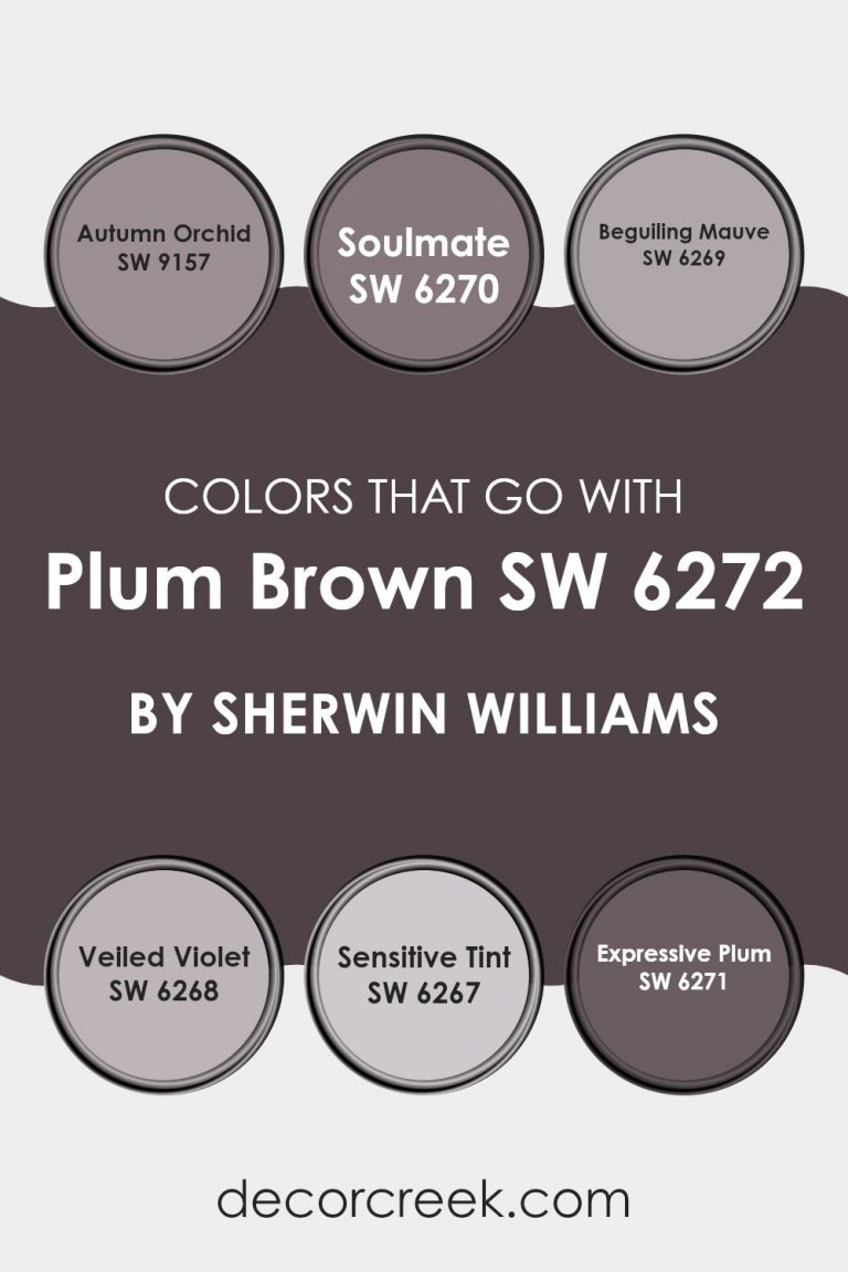 Plum Brown SW 6272 Paint Color by Sherwin Williams - DecorCreek